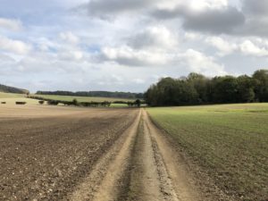 This Too Shall Pass. Thoughts From The Pilgrims' Way With J.F. Penn ...