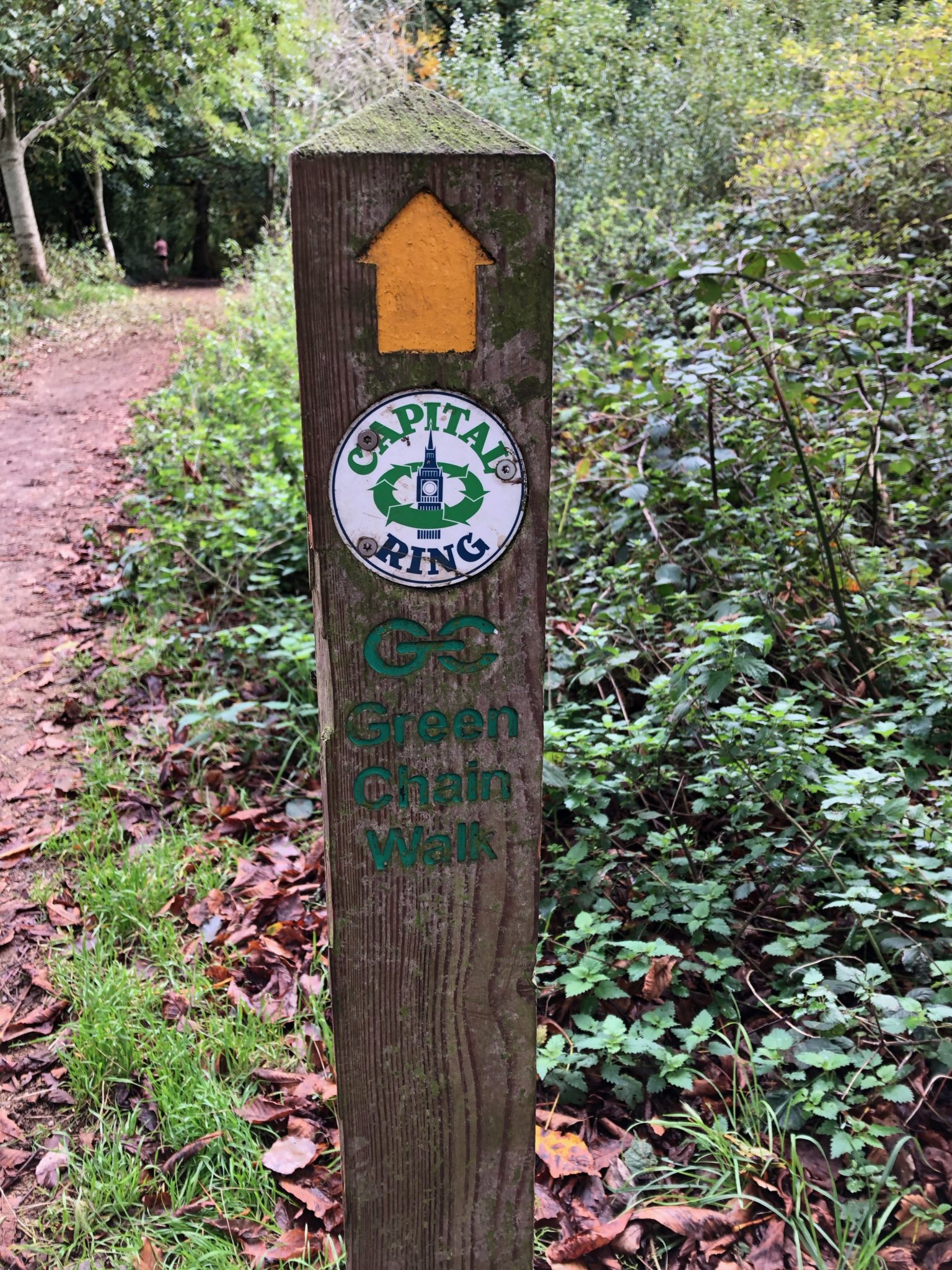 Walking The Pilgrims' Way. Six Days From Southwark Cathedral, London ...