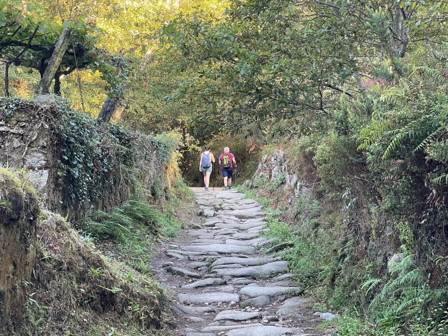 Walking The Camino Portuguese Coastal Route: Arcade to Pontevedra ...