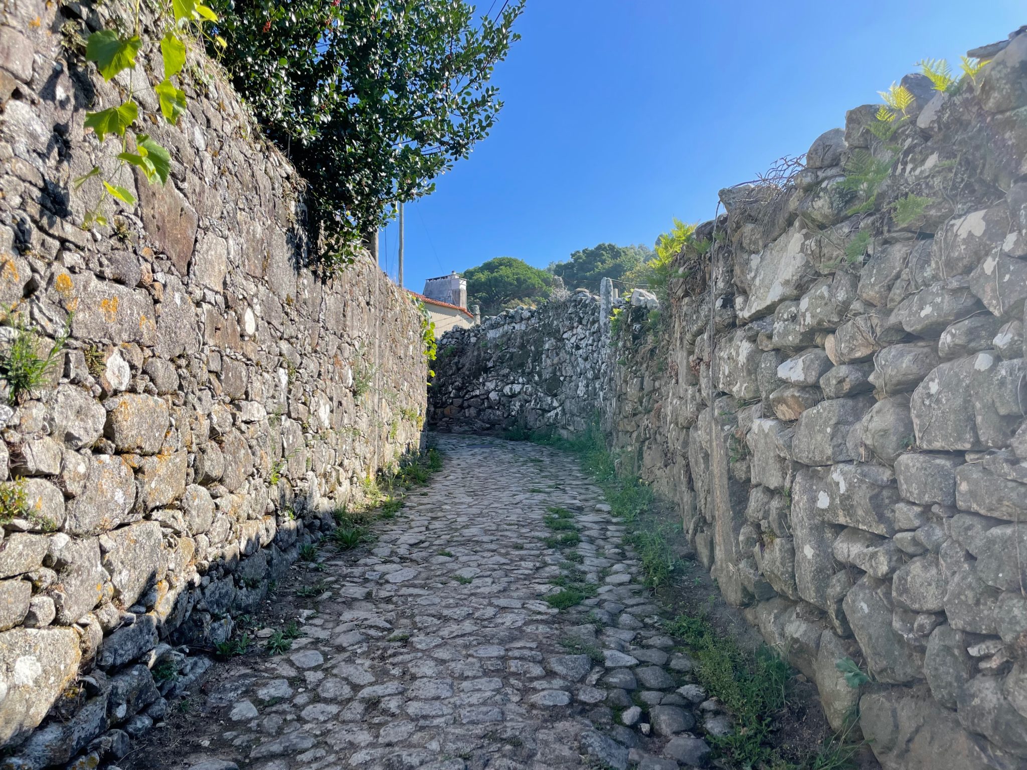 A Pilgrim In The Path Of History. Solo Walking The Camino De Santiago ...