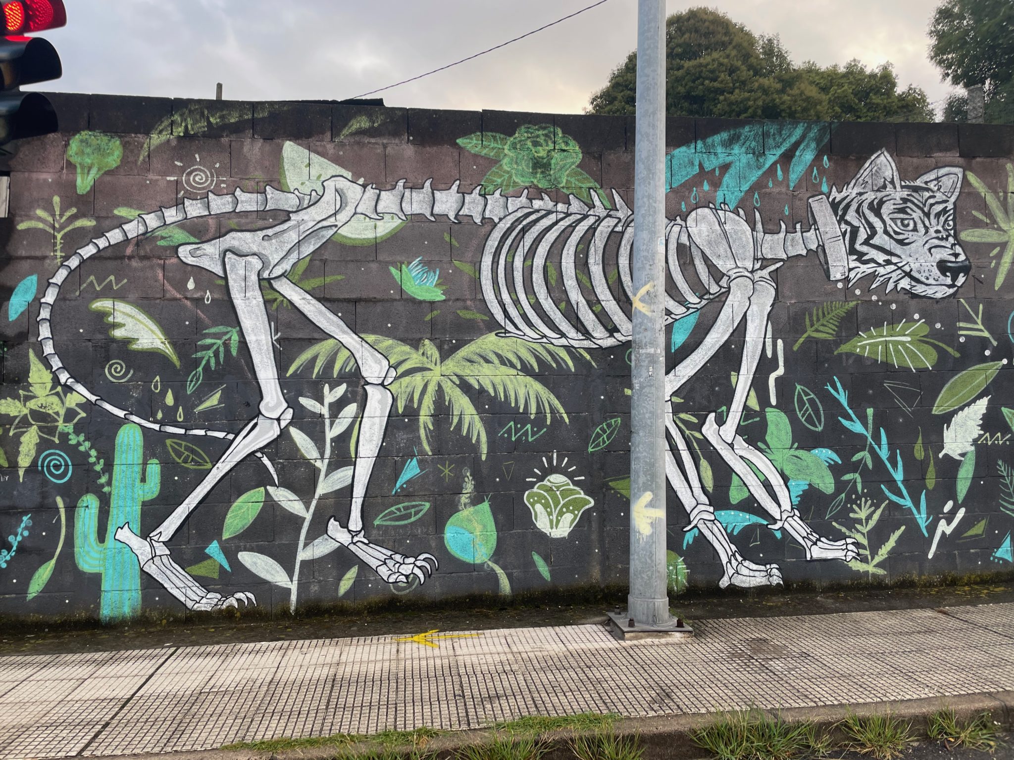 Walking The Camino Portuguese Coastal Route: Vigo To Arcade, Spain ...