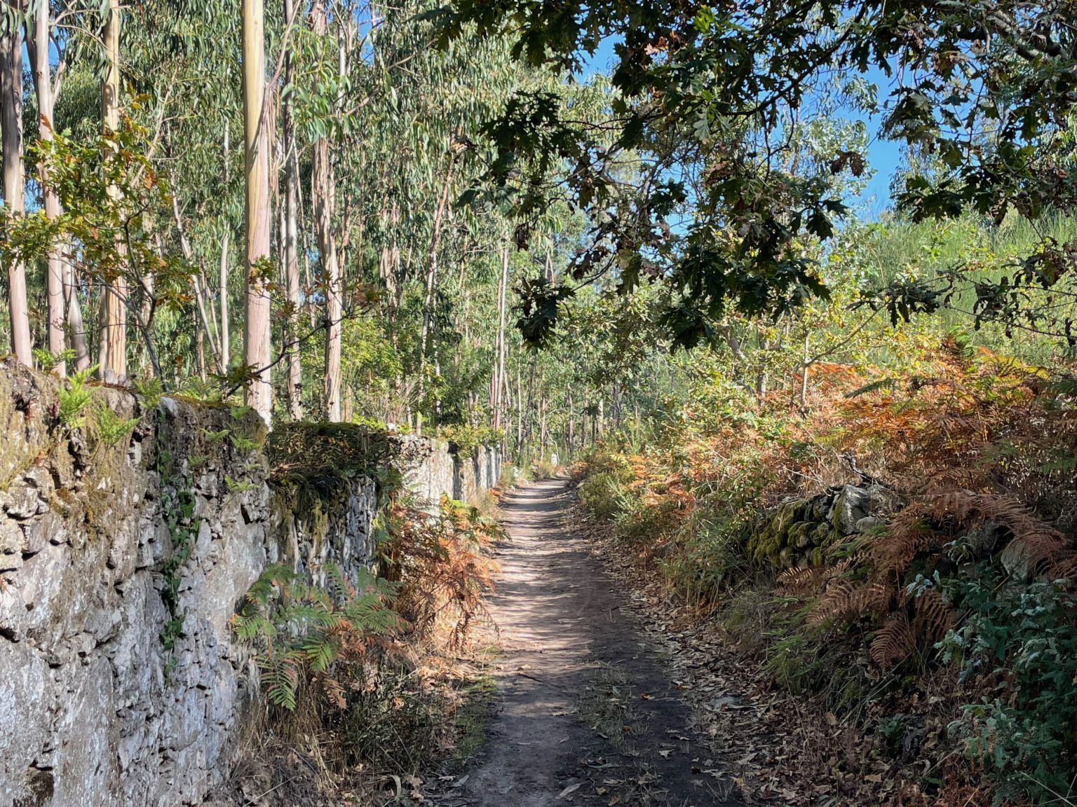 Walking The Camino Portuguese Coastal Route: Viana do Castelo to Vila ...