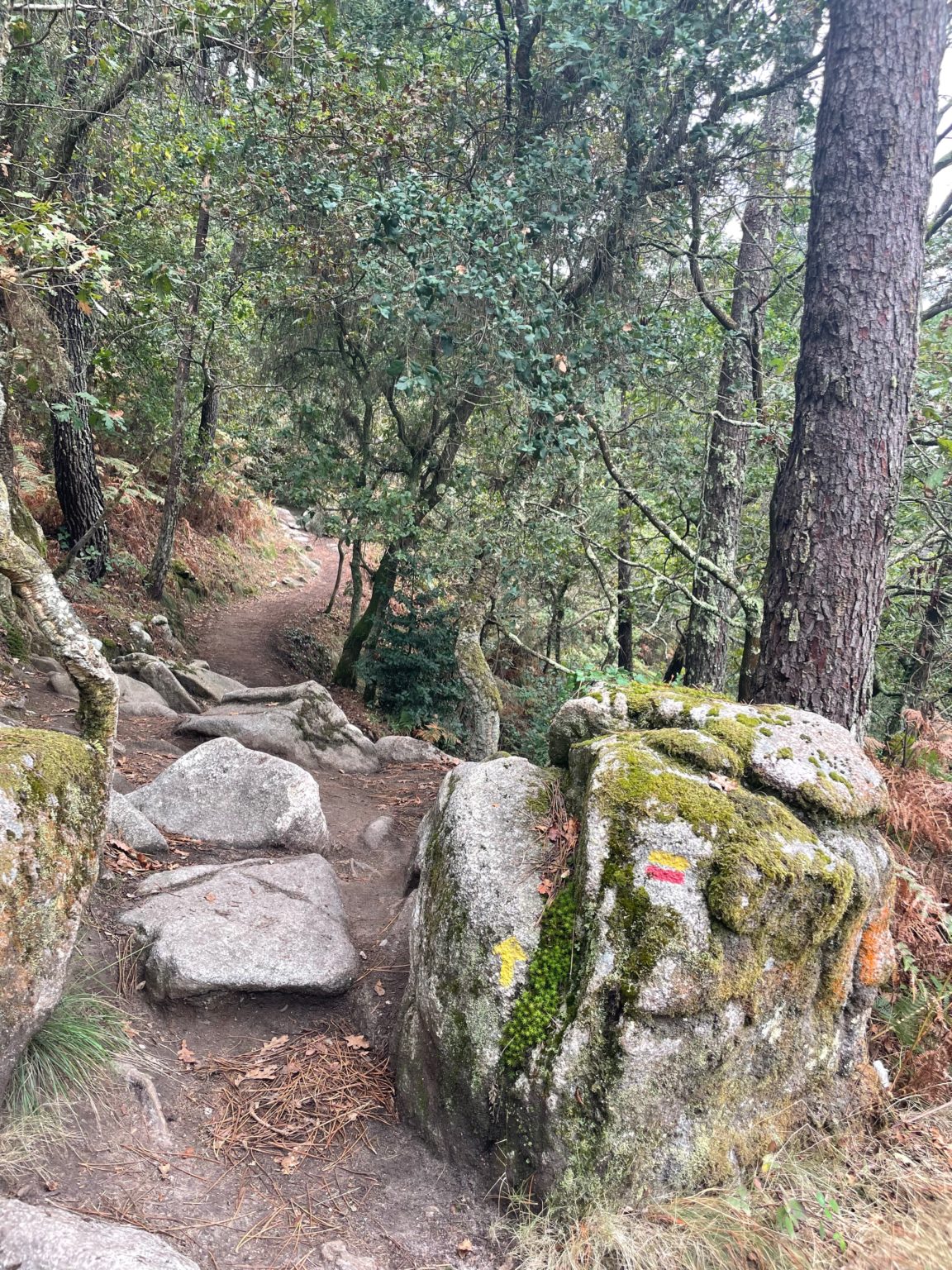 Walking The Camino Portuguese Coastal Route: Esposende to Viana do ...